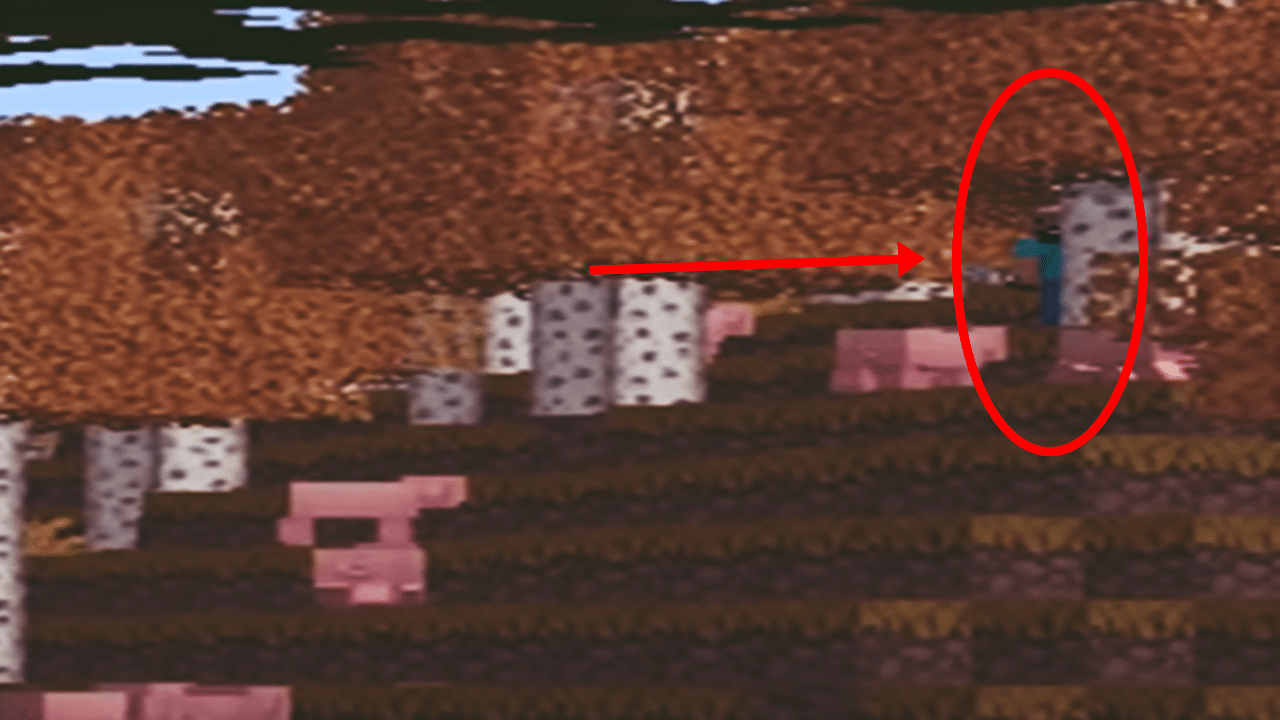 Minecraft'ın Gizli İlk Efsanesi: TONCH - BatuhanGG